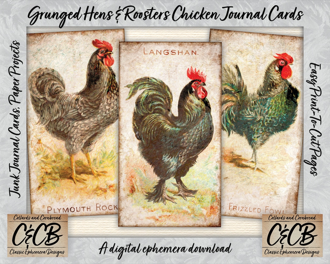 Grunged Hens & Roosters Chicken Journal Cards Digital Download Set for ...