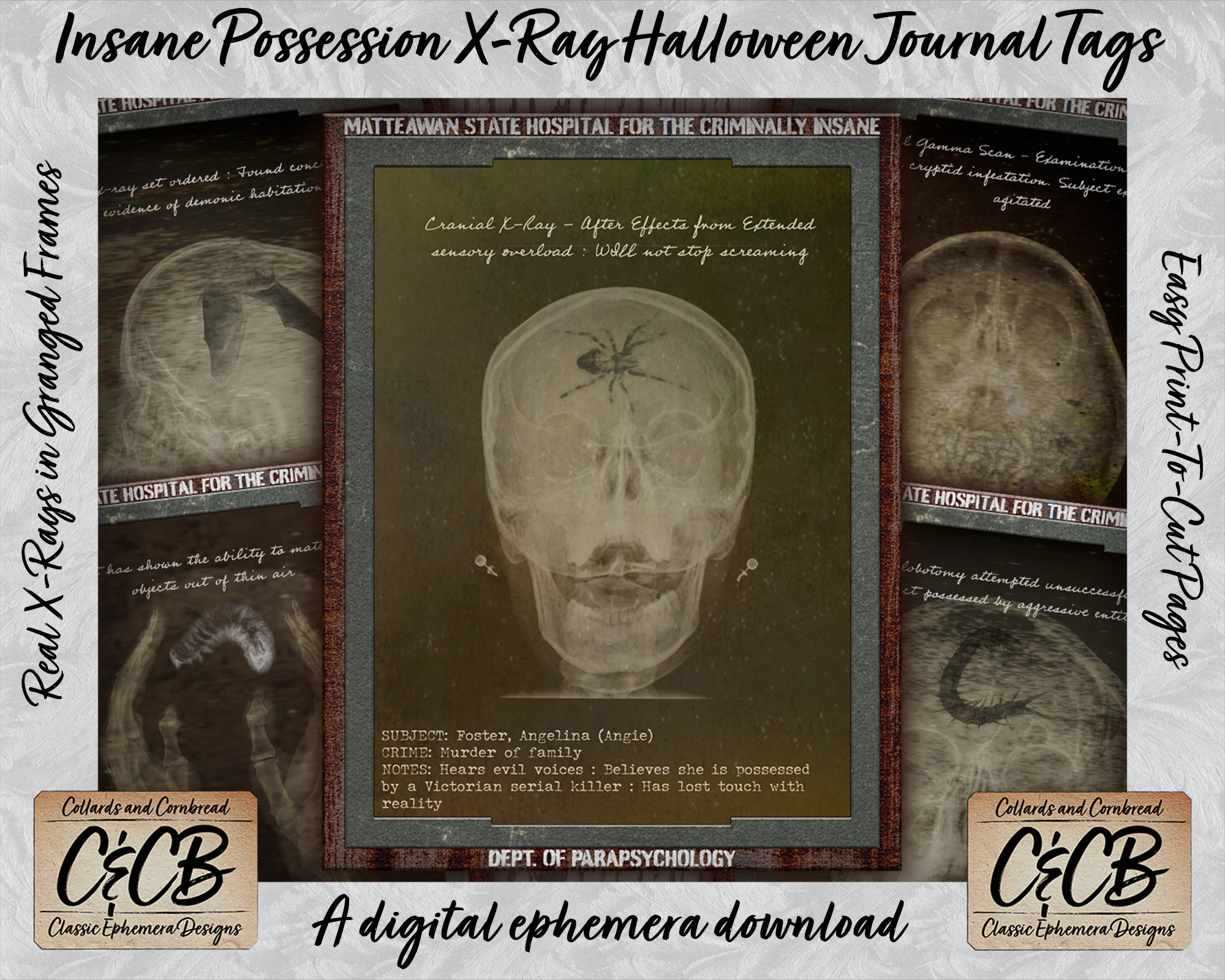 The Possession X Ray