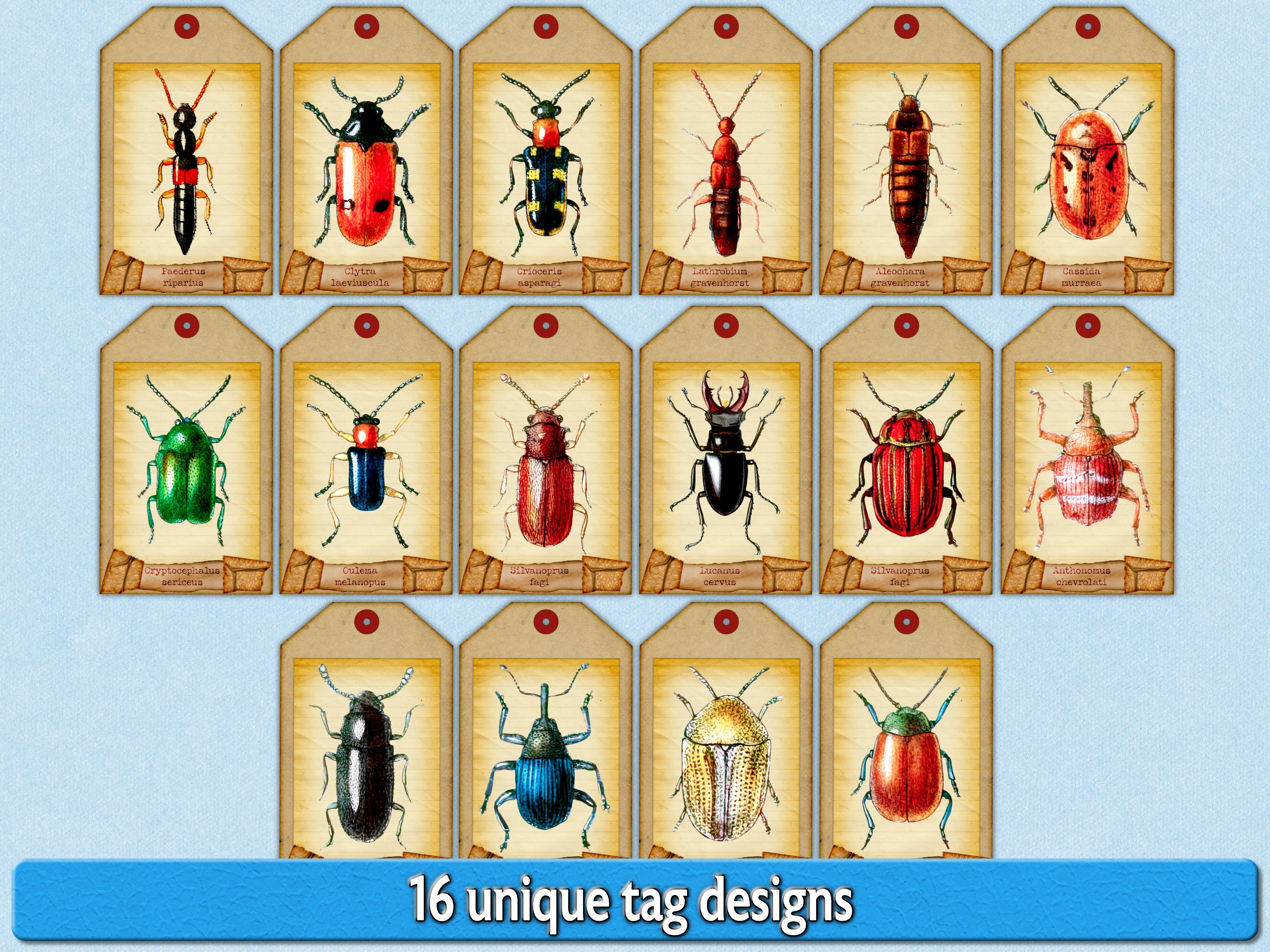 Aged & Grunged Beetle Specimen Tags Printable Digital Download Ephemera ...
