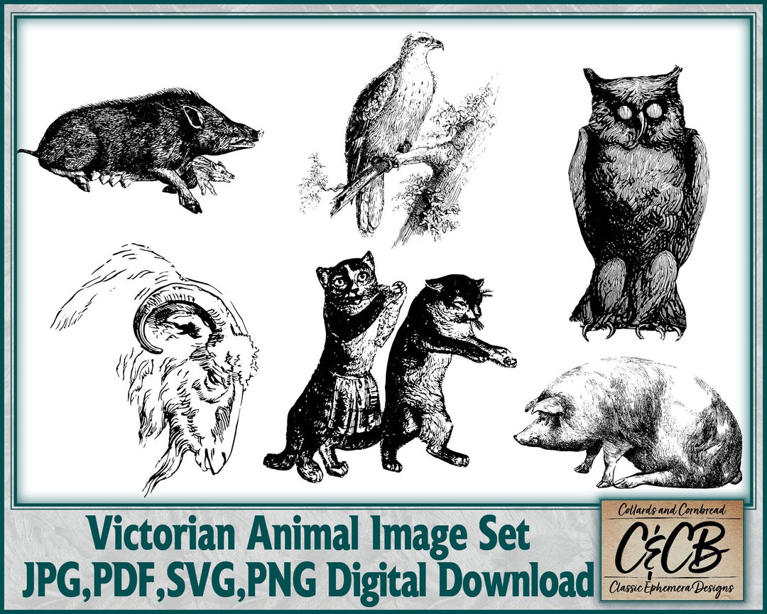 Victorian Animal Images Engraved Line Art Digital Download Clip Art Set ...