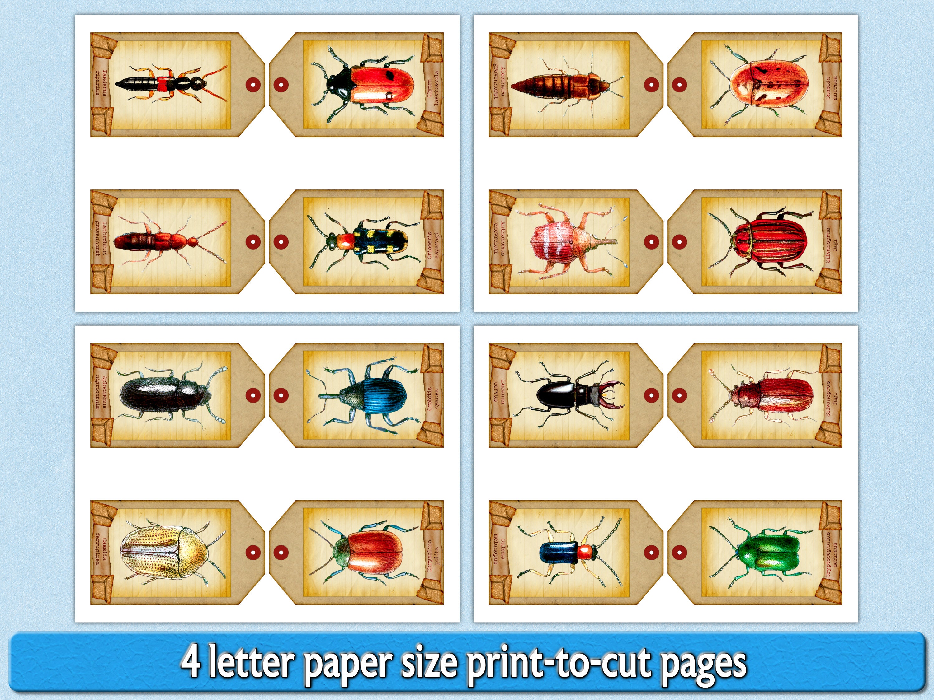 Aged & Grunged Beetle Specimen Tags Printable Digital Download Ephemera ...
