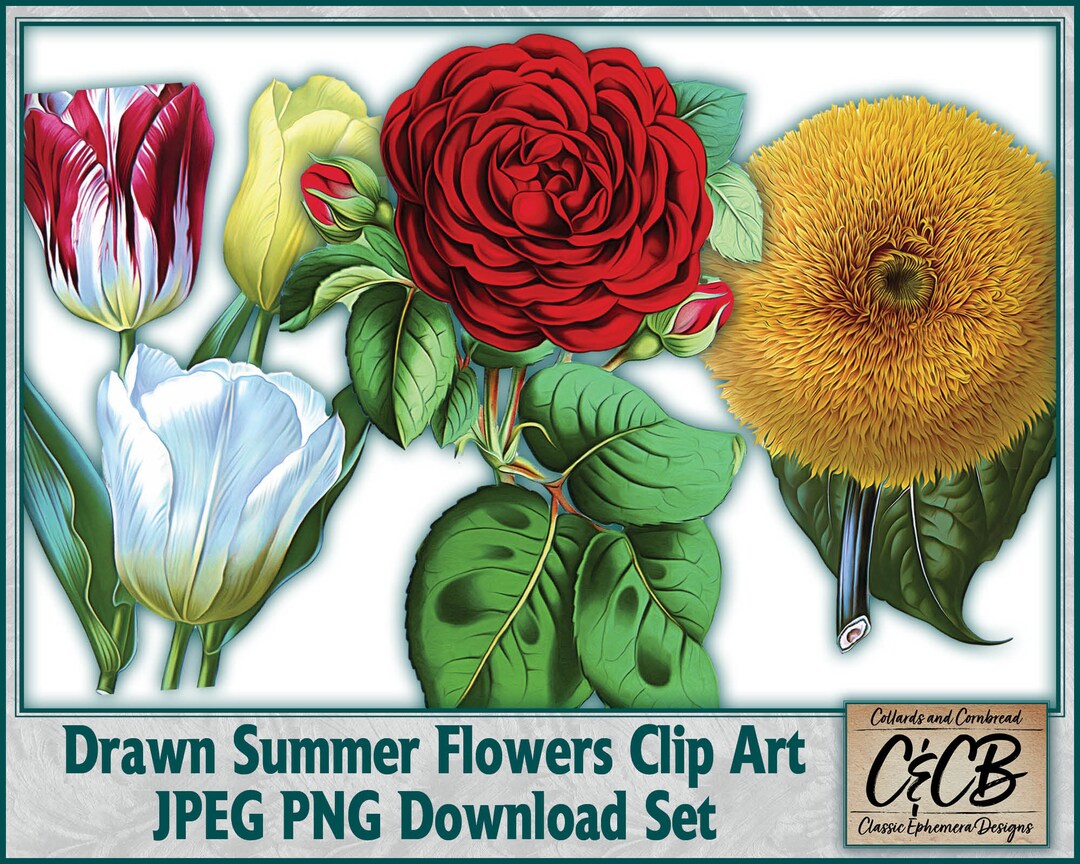 Summer Flowers PNG JPEG Clip Art Digital Download Set for Digital ...