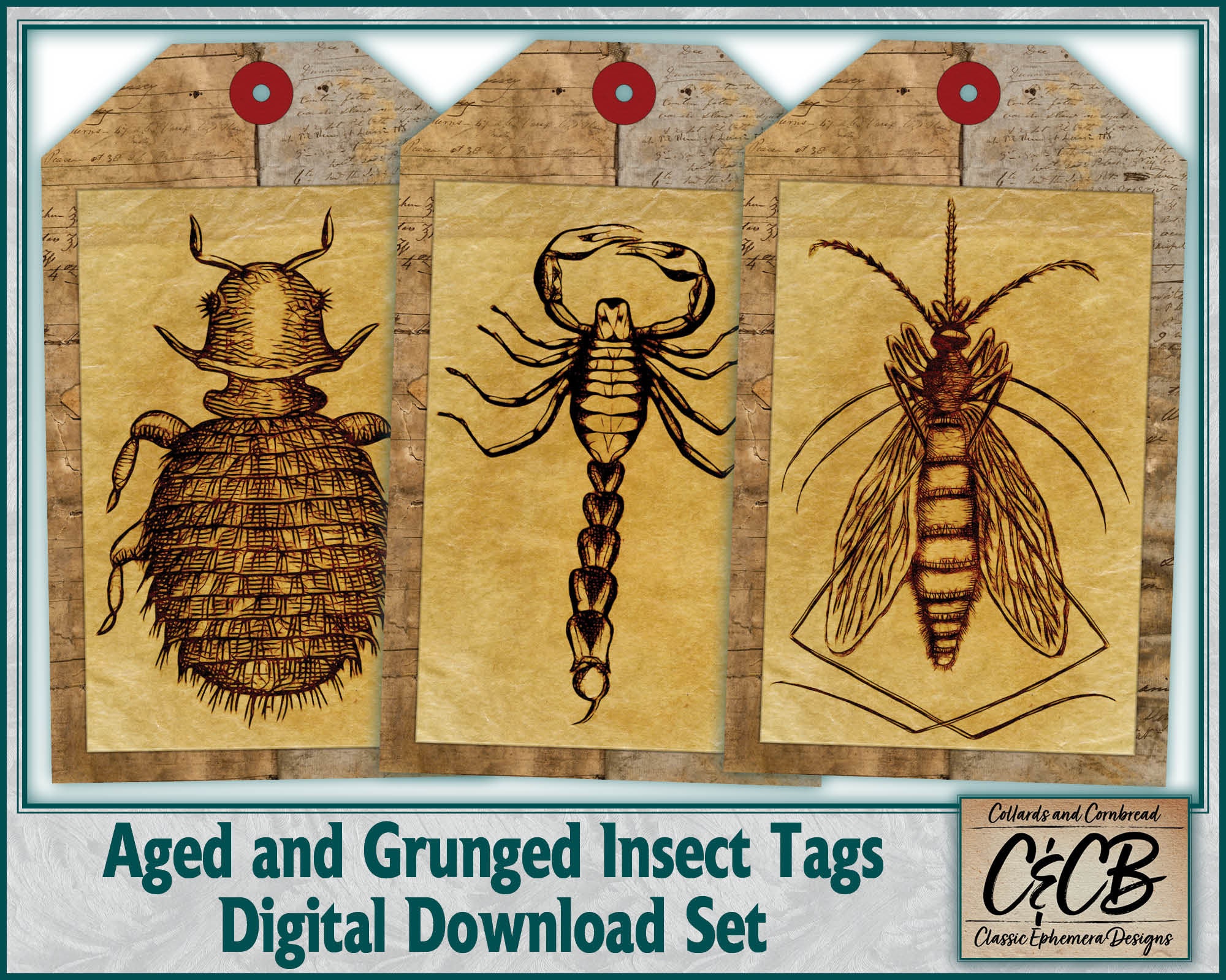 Aged & Grunged Insect Specimen Tags Printable Digital Download Ephemera ...