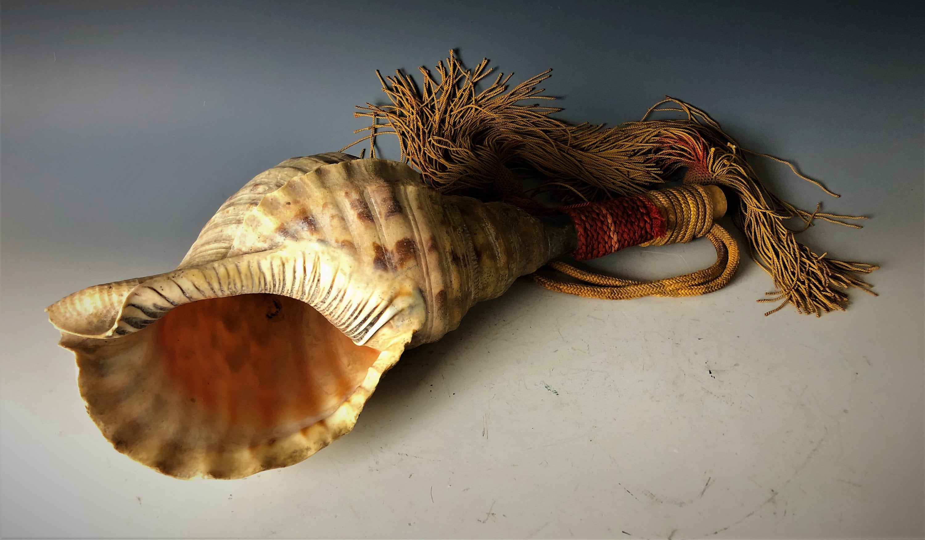 Japanese Old Horagai Conch Shell Trumpet Buddhist Monk or | Etsy