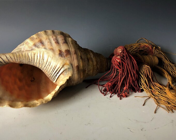 Japanese Old Horagai Conch Shell Trumpet Buddhist Monk or Samurai Horn ...