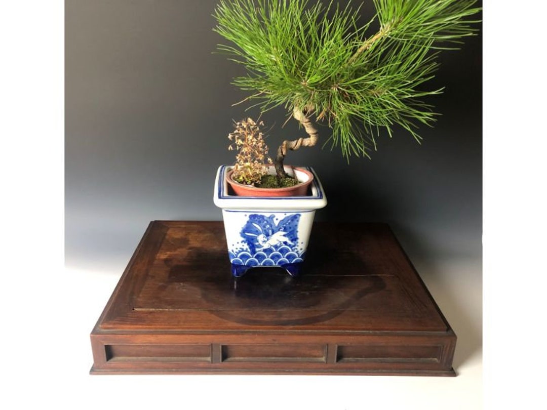 Handmade Wooden Japanese Bonsai Stand for Indoor or Outdoor Use - Etsy