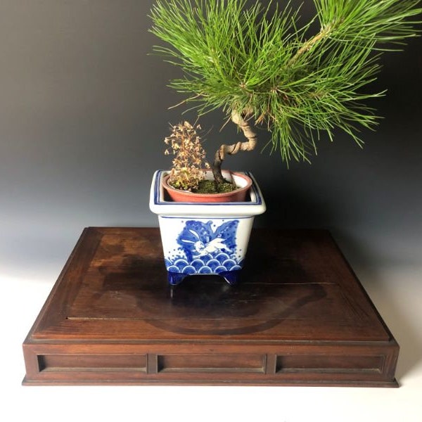Bonsai Display Stand - Etsy