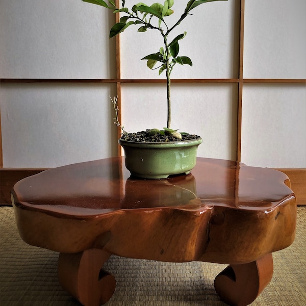 Bonsai Display Stand - Etsy