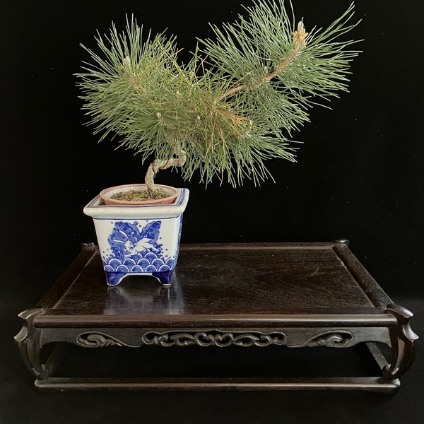 Bonsai Display Stand - Etsy