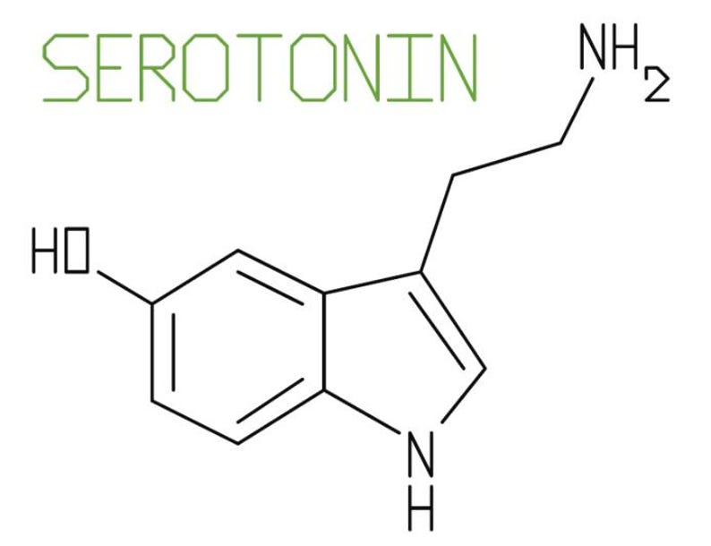 Serotonin Chemical Structure Backstitch Pattern - Etsy