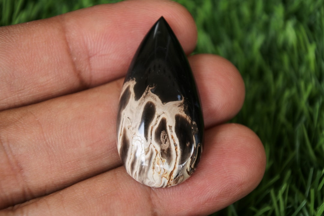 Fossilised Black Palm Tree, Agate Stone, Agate Rocks, Agate Jewelery - Etsy