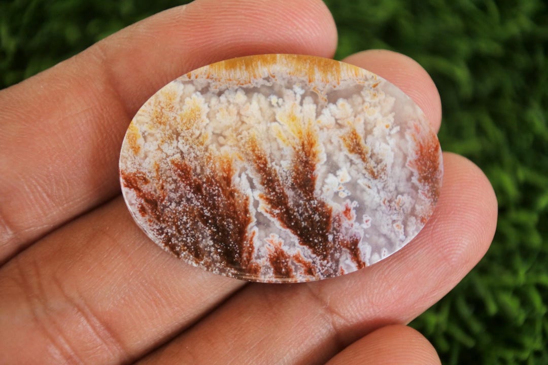 Plume Agate, Crimson Agate,agate Healing Properties,agate Beach,agate ...