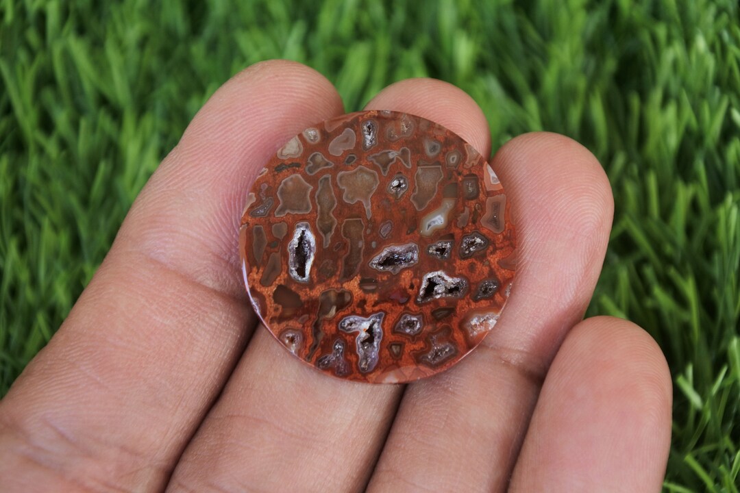 Fossilized Palm Tree Include Drusy - Etsy