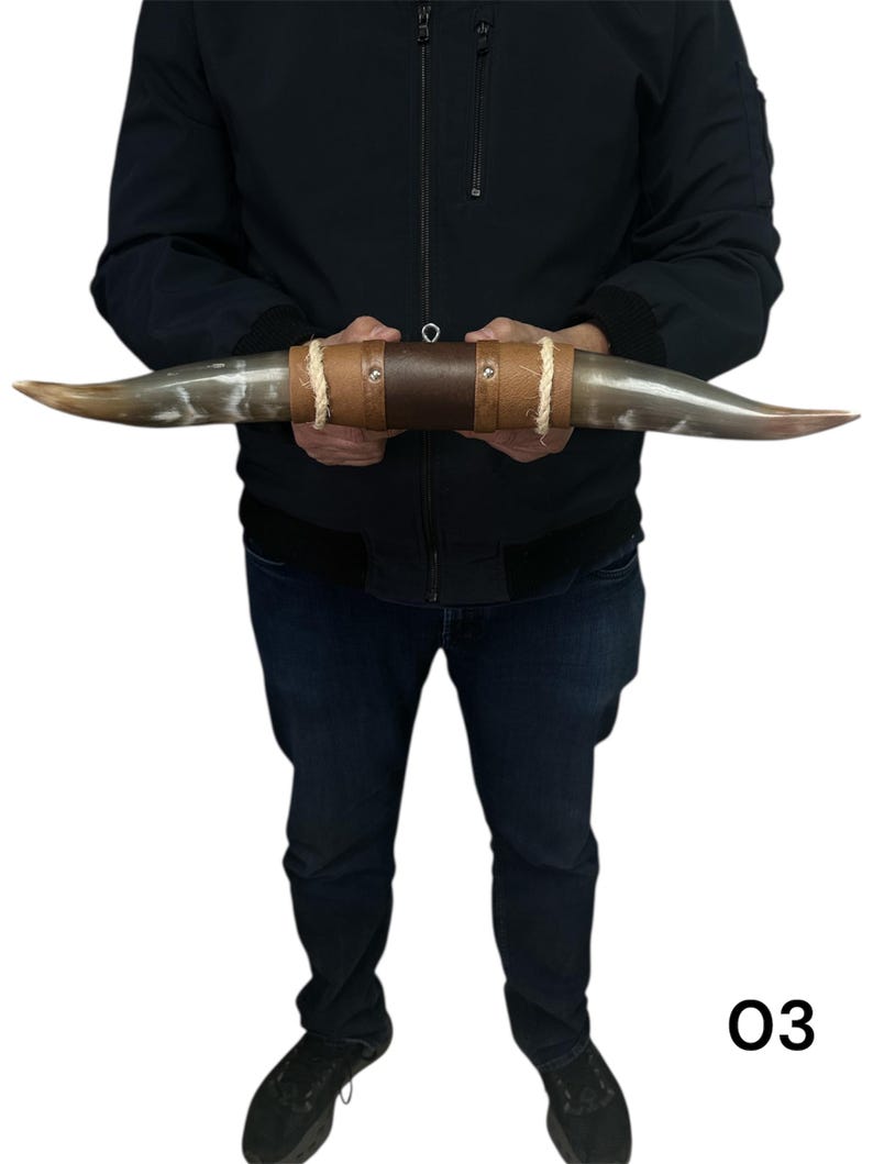 SMALL MOUNTED HORNS , Polished Horns , Real Horns , Taxidermy , 20.5 ...