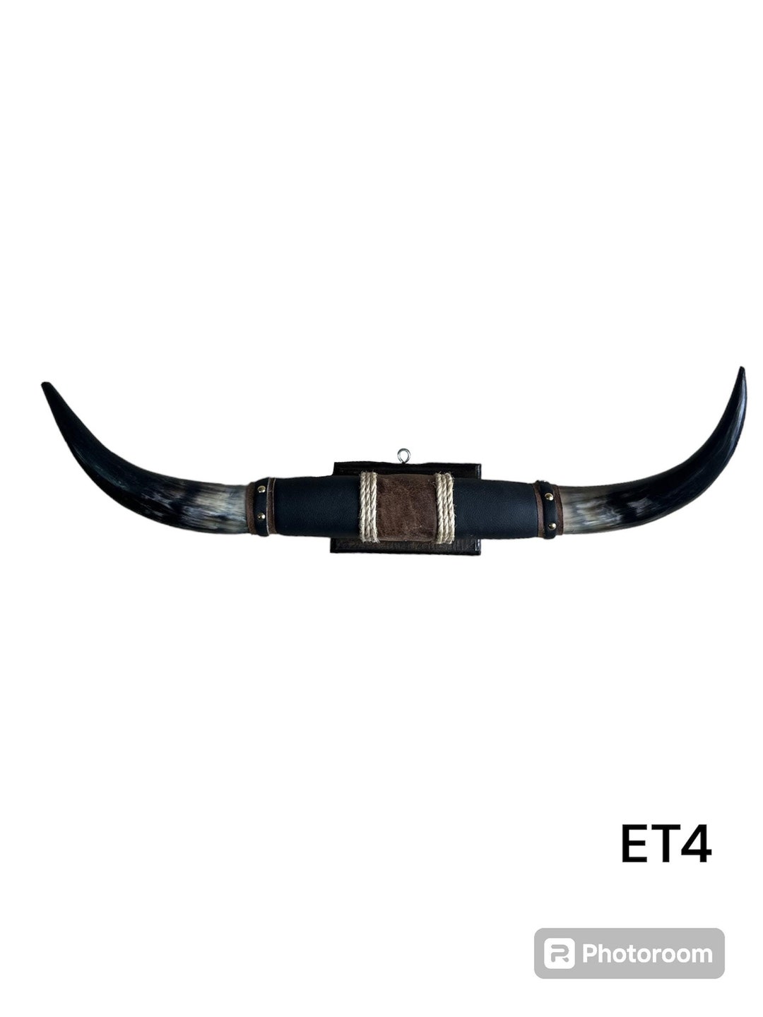 MEDIUM MOUNTED HORNS , Polished Horns , Real Horns , Taxidermy , 25 ...