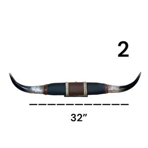 LARGE MOUNTED HORNS , Polished Horns , Real Horns , Taxidermy , 32 ...