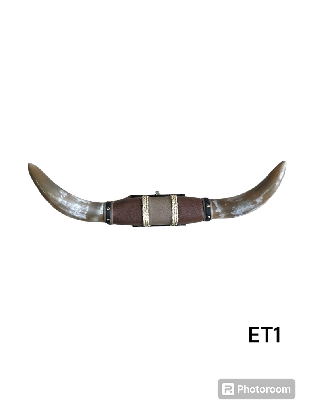 MEDIUM MOUNTED HORNS , Polished Horns , Real Horns , Taxidermy , 25 ...