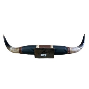 LARGE MOUNTED HORNS , Polished Horns , Real Horns , Taxidermy , 32 ...