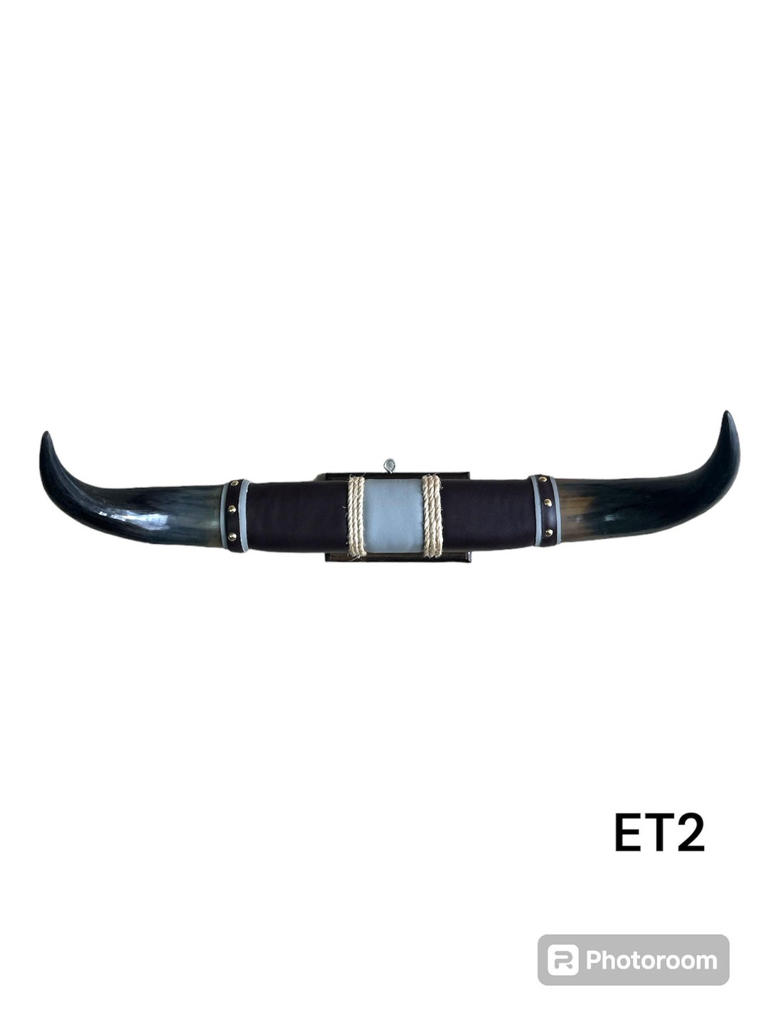 MEDIUM MOUNTED HORNS , Polished Horns , Real Horns , Taxidermy , 23 ...