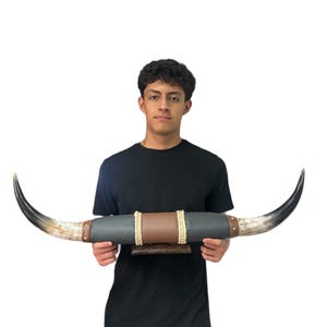LARGE MOUNTED HORNS , Polished Horns , Real Horns , Taxidermy , 32 ...