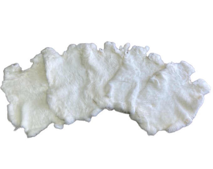 5 Piece WHOLESALE , RABBIT Skin , WHITE Rabbit , Natural Rabbit Skin ...