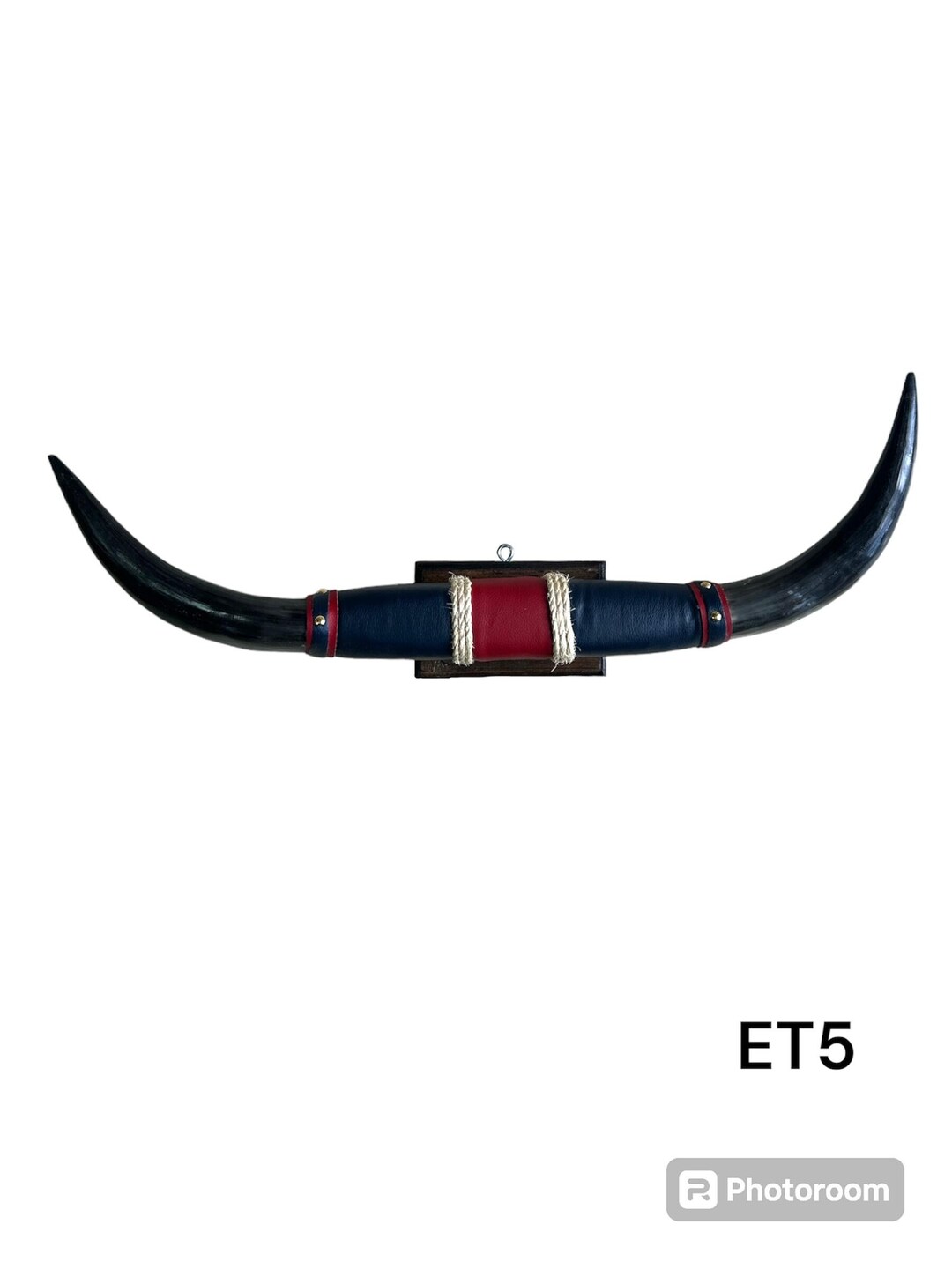 MEDIUM MOUNTED HORNS , Polished Horns , Real Horns , Taxidermy , 24.5 ...