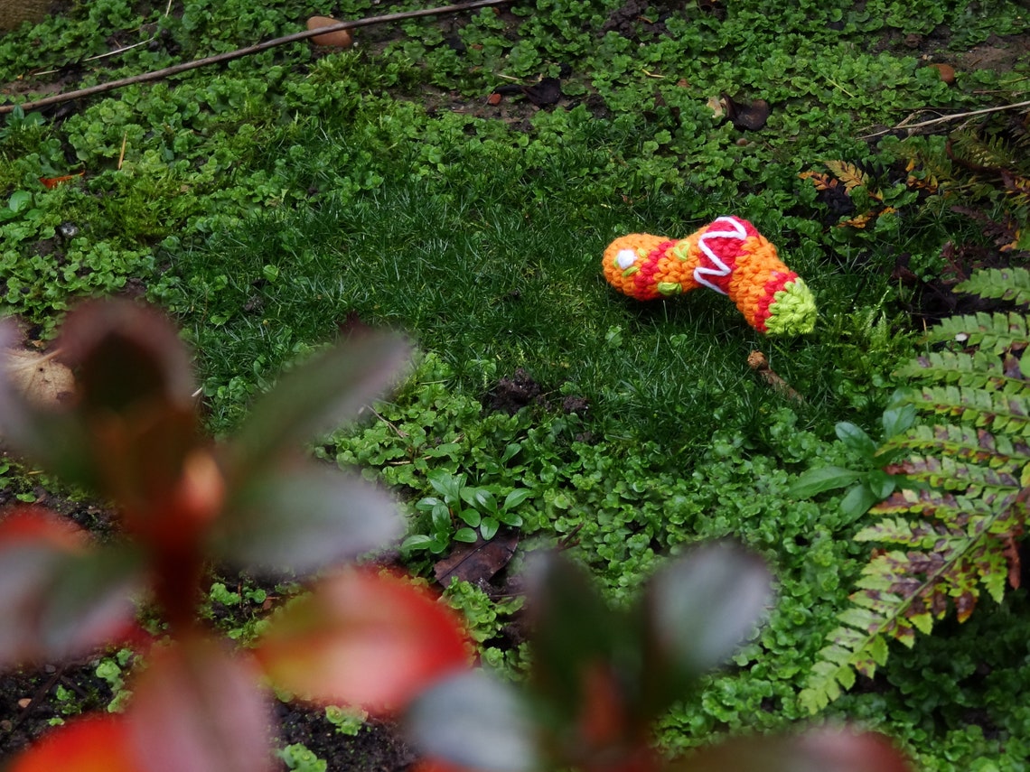 Viva Piñata Whirlm Amigurumi Crochet Pattern - Etsy