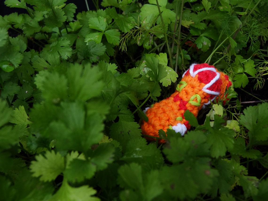 Viva Piñata Whirlm Amigurumi Crochet Pattern - Etsy