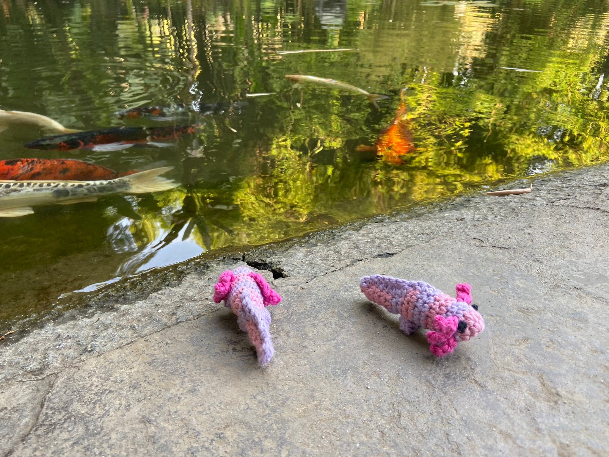 Viva Piñata Newtgat Amigurumi Crochet Pattern - Etsy