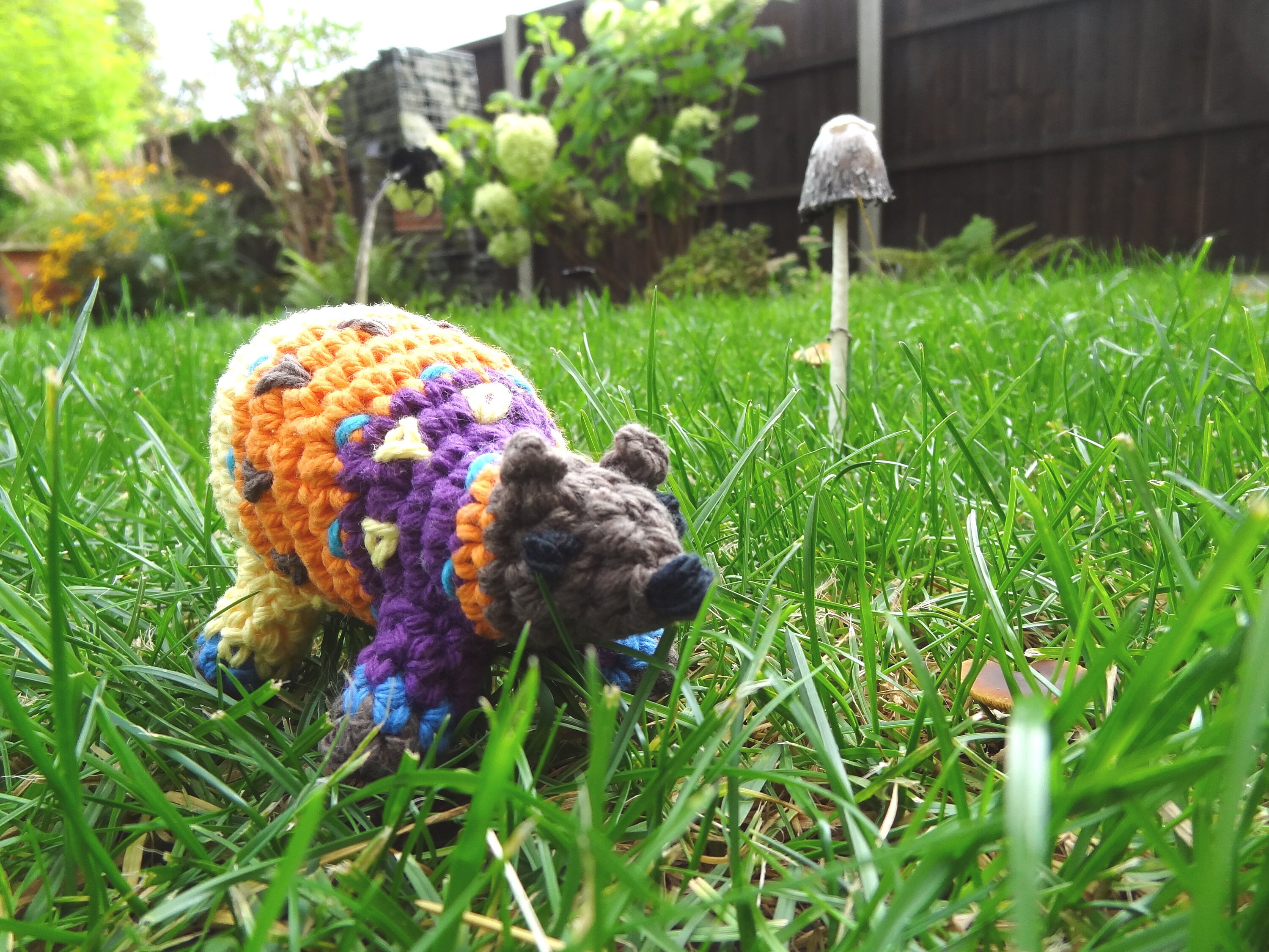 Viva Piñata Fizzlybear Amigurumi Crochet Pattern - Etsy