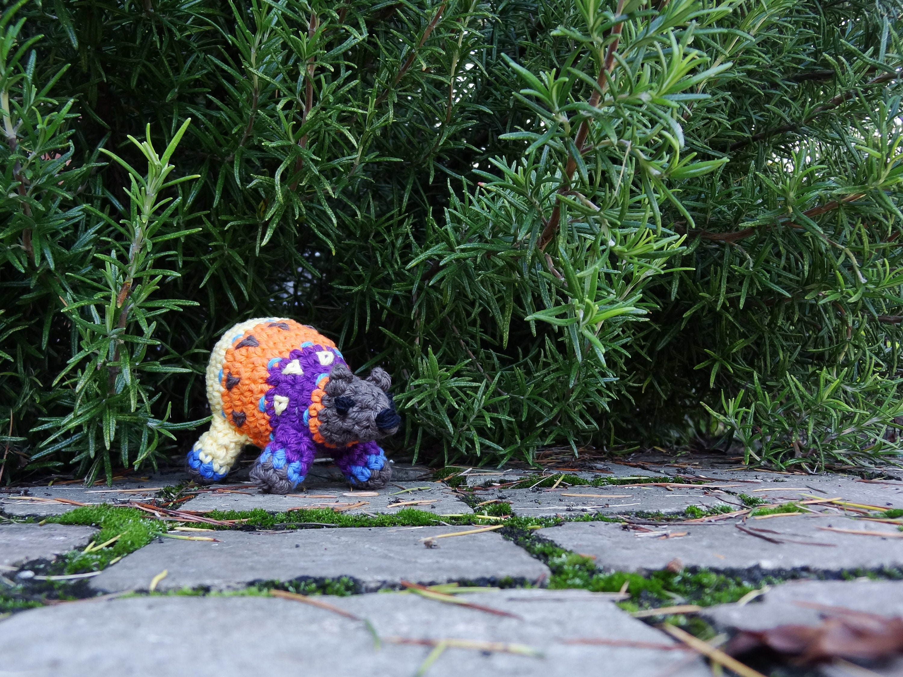 Viva Piñata Fizzlybear Amigurumi Crochet Pattern - Etsy