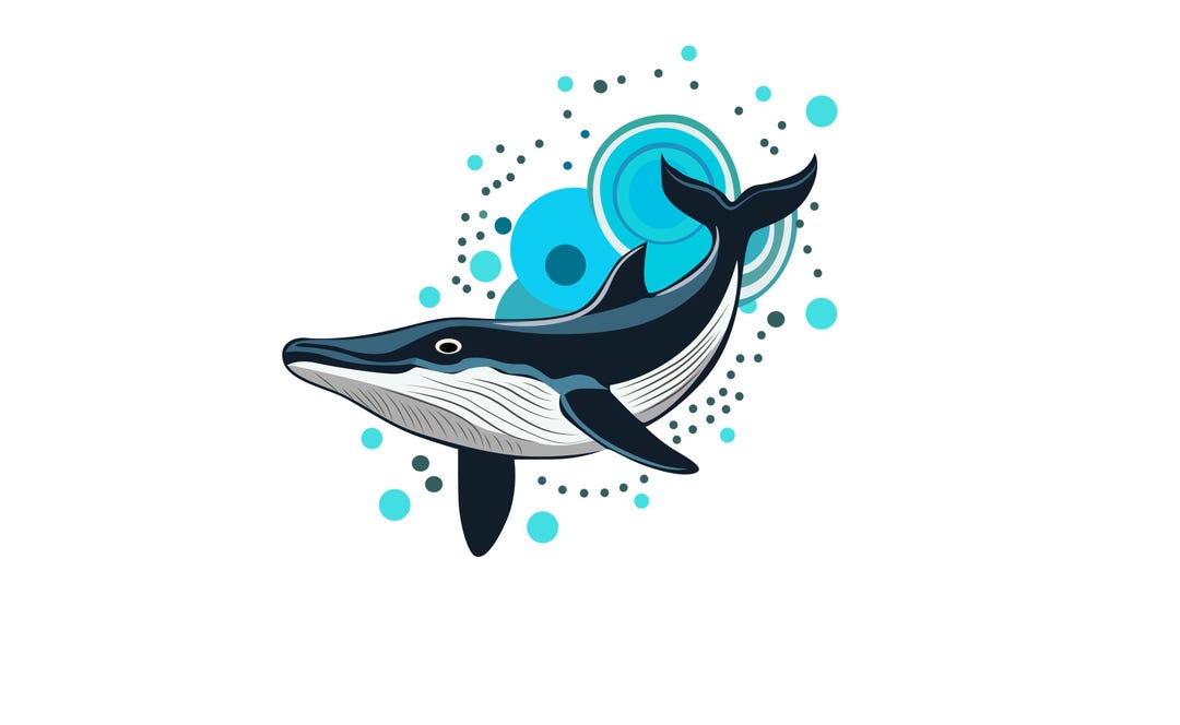 Blue Whale Clipart Elegant Whale Sublimation Ocean Beauty Commercial ...