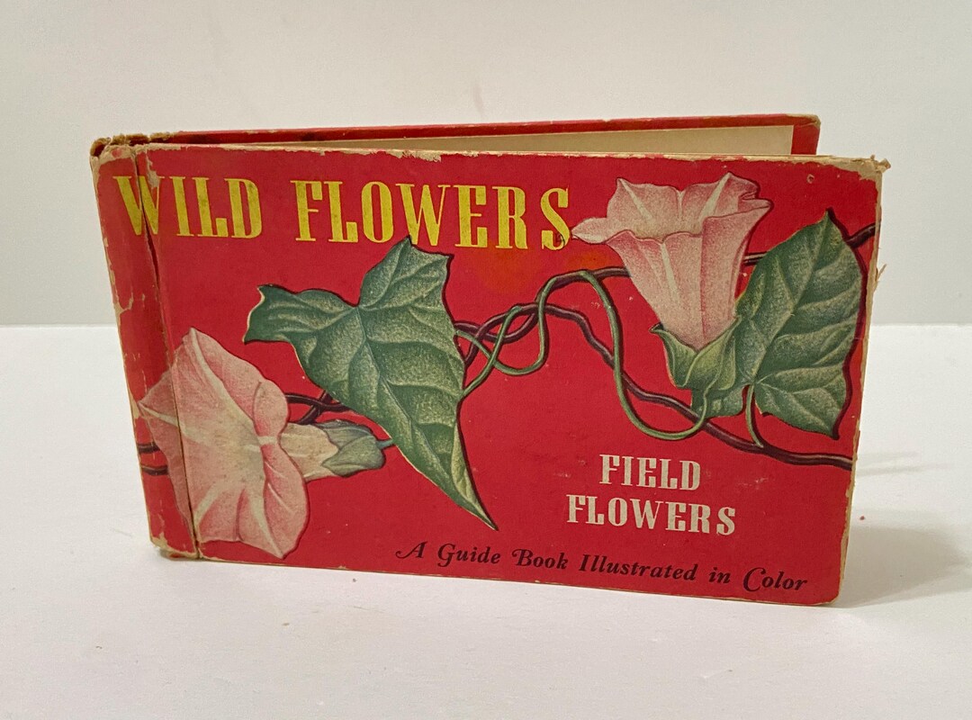 1945 Woodland Flowers and Field Flowers Illustrated Guide by Whitman ...