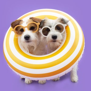 Digital Download Funny Animals Wall Posters Kid's Bedroom - Etsy