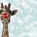 Digital Download Funny Animals Wall Posters Kid's Bedroom - Etsy