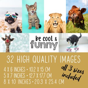 Digital Download Funny Animals Wall Posters Kid's Bedroom - Etsy