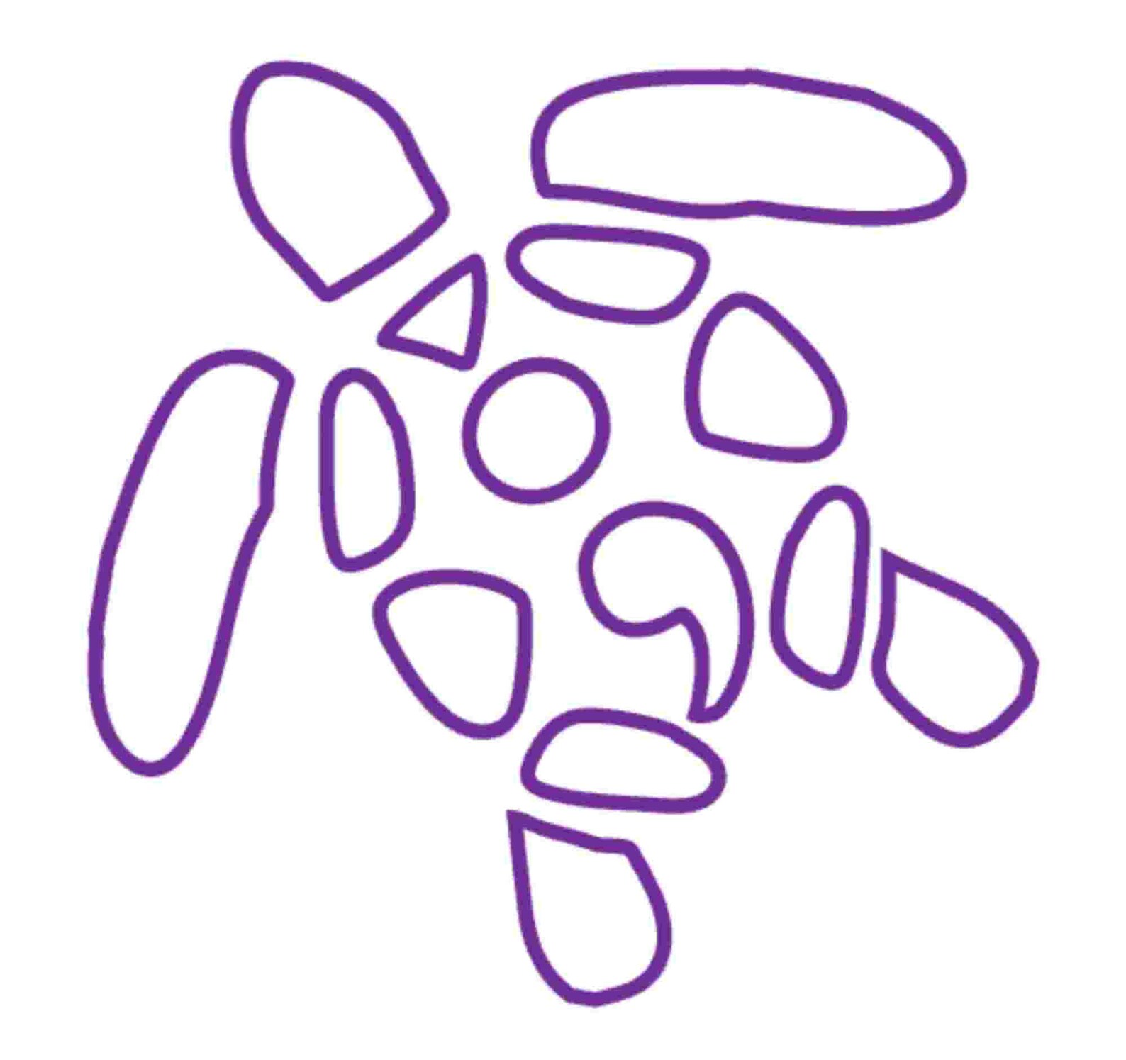 Sea Turtle Semi-colon Decal - Etsy