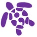 Sea Turtle Semi-colon Decal - Etsy