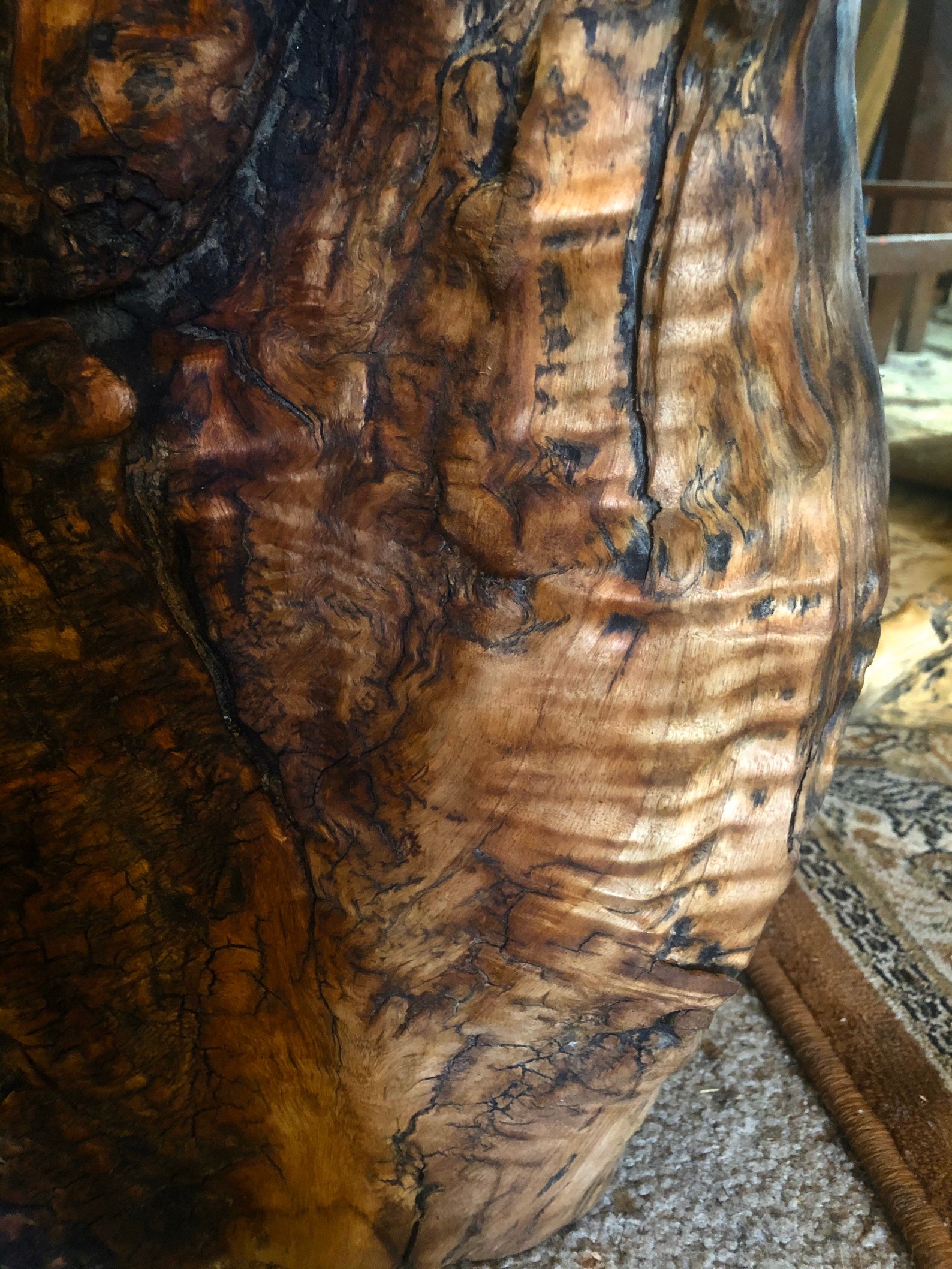 Large Natural Cottonwood Root Sculpture | Etsy