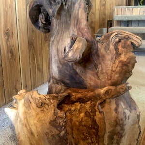 Large Natural Cottonwood Root Sculpture | Etsy