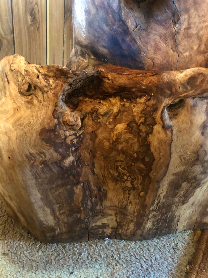 Large Natural Cottonwood Root Sculpture | Etsy
