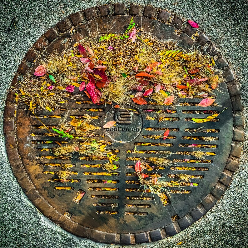 Metal Print of NYC Manhole Cover (con Edison Garden) - Etsy