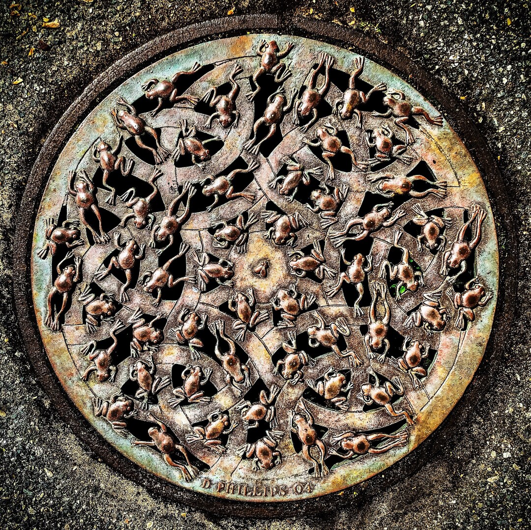 Metal Print of Boston Manhole frogs and Fly - Etsy