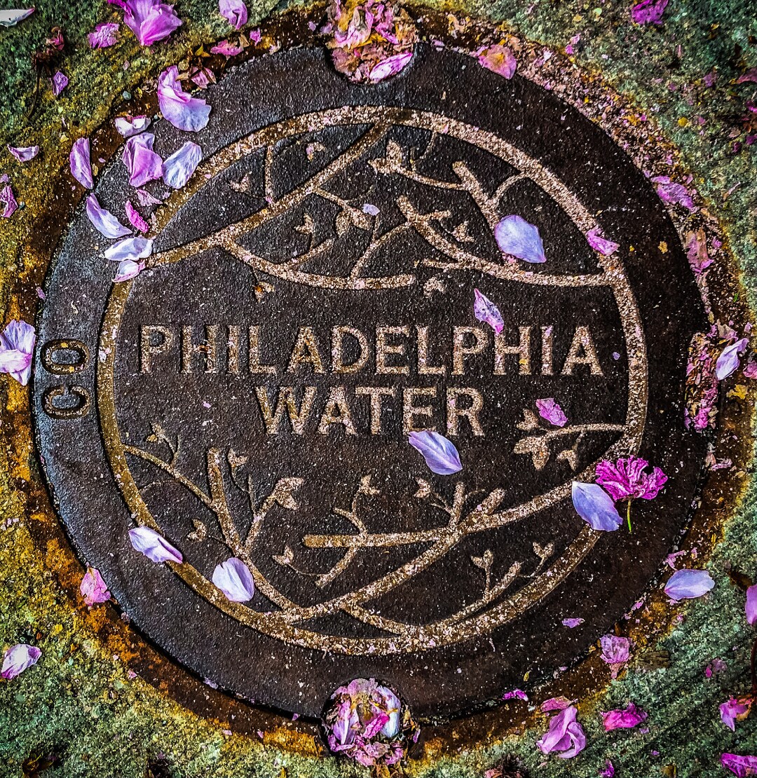 Metal Print of Philadelphia, PA Manhole Cover (spring Blossoms) - Etsy