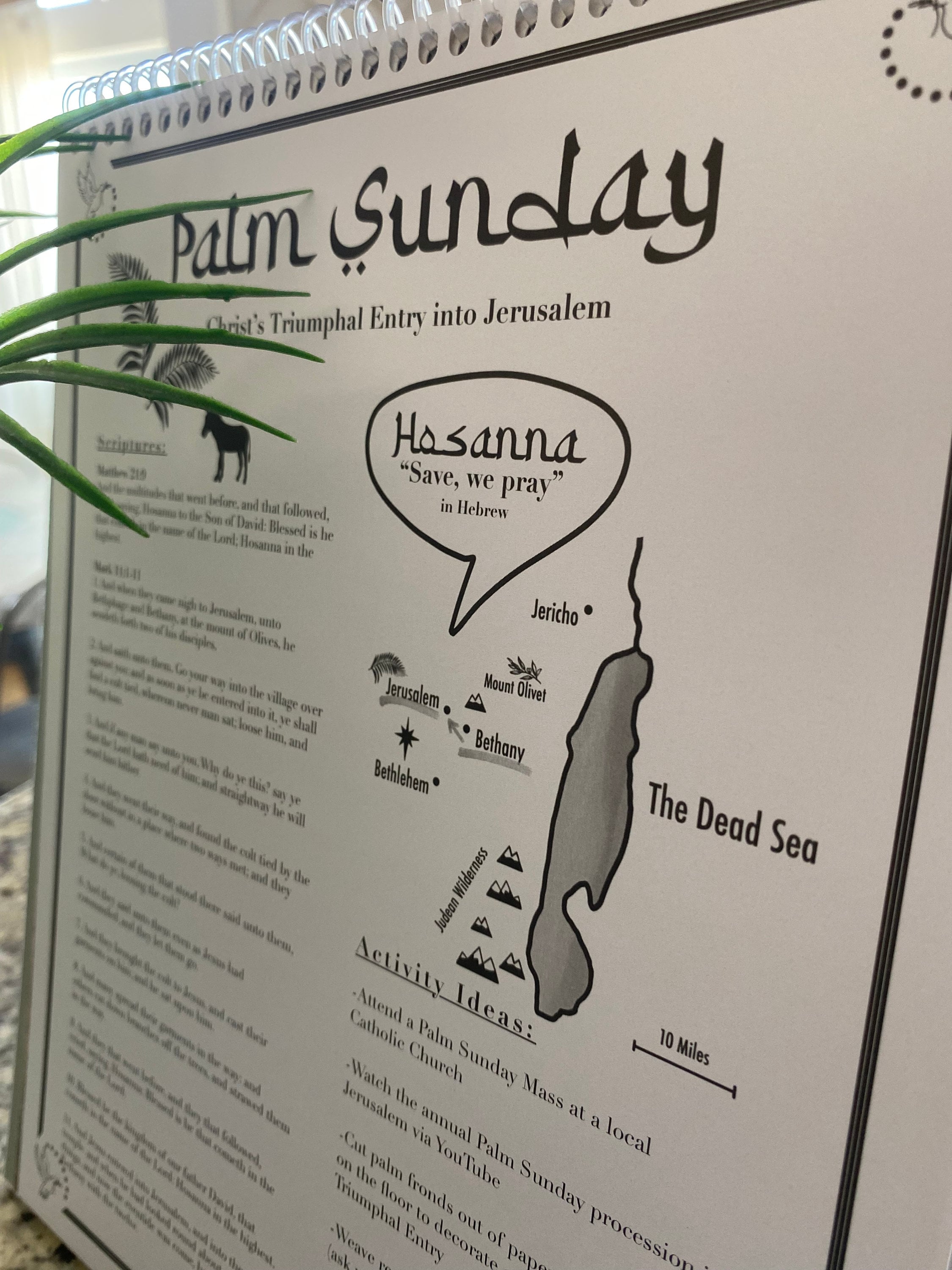 Holy Week Flip Book Guide Daily Palm Sunday to Easter Sunday Stand up ...