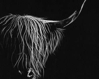 Highland Cow Line Art - Etsy