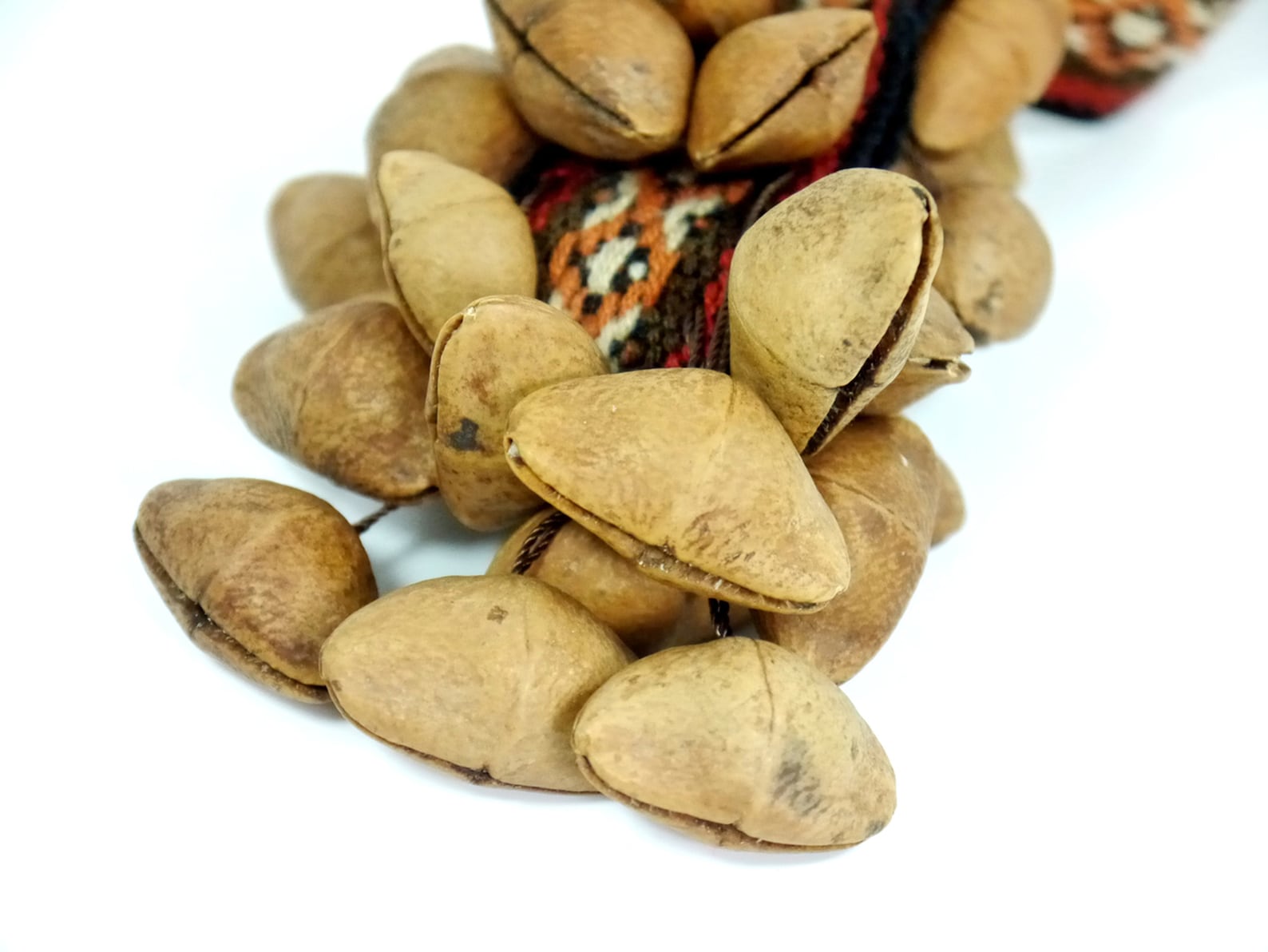 Maracas Shaker Seed - Chajchas - Etsy
