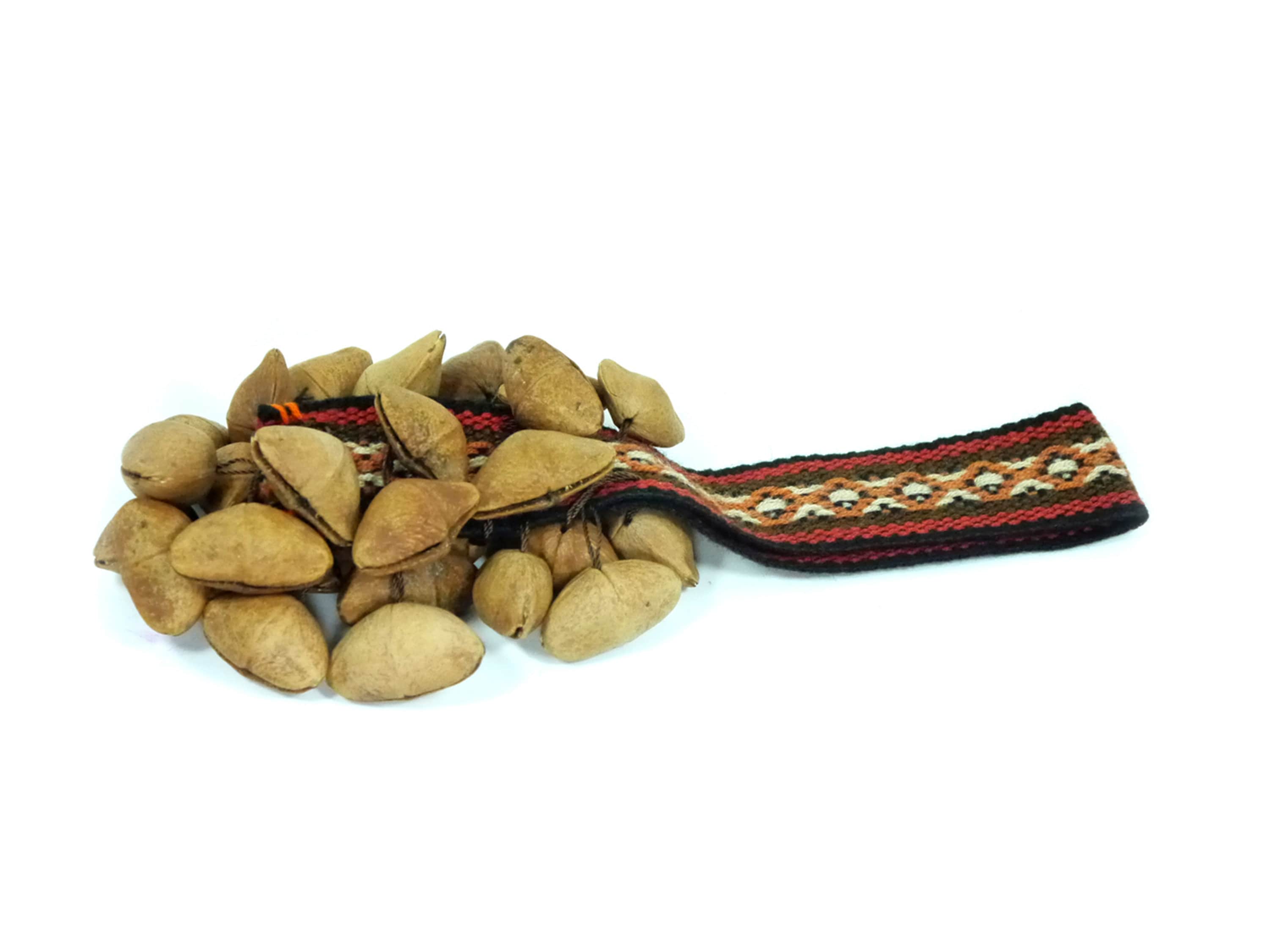 A pair of Maracas shaker Seed Chajchas | Etsy