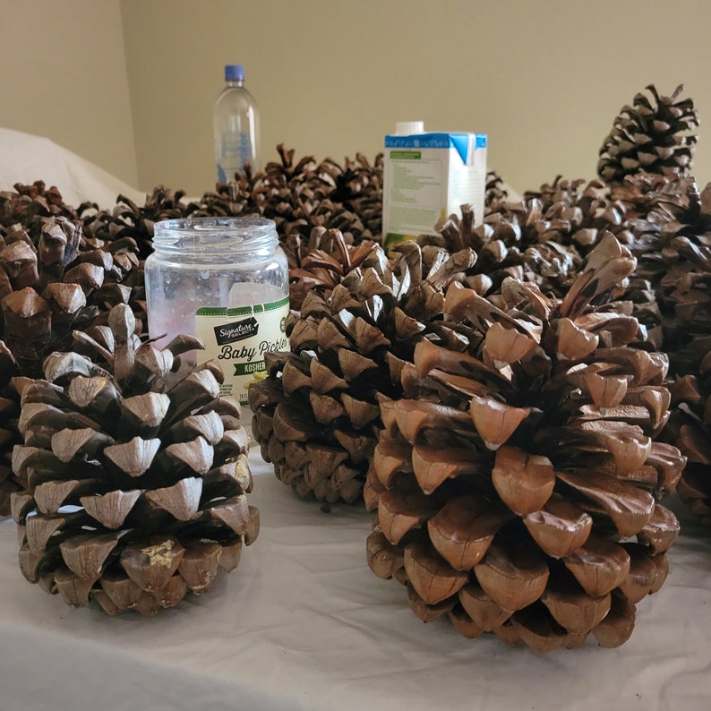 PINE CONES CRAFT Holiday - Etsy