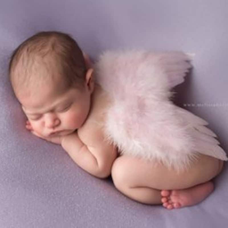 Baby Angel Wings - Etsy